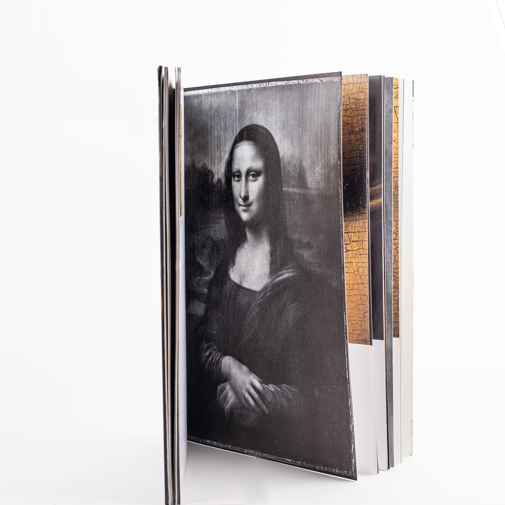 Mona Lisa: Inside the Painting By Jean-Pierre Mohen, Michel Menu, Brun ...