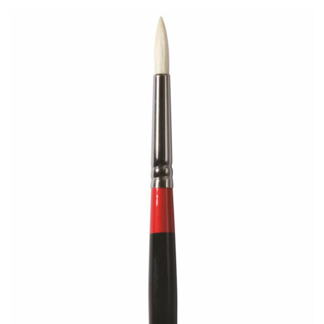 Daler Rowney Georgian Round Brush – G24 (No. 4) — Mango