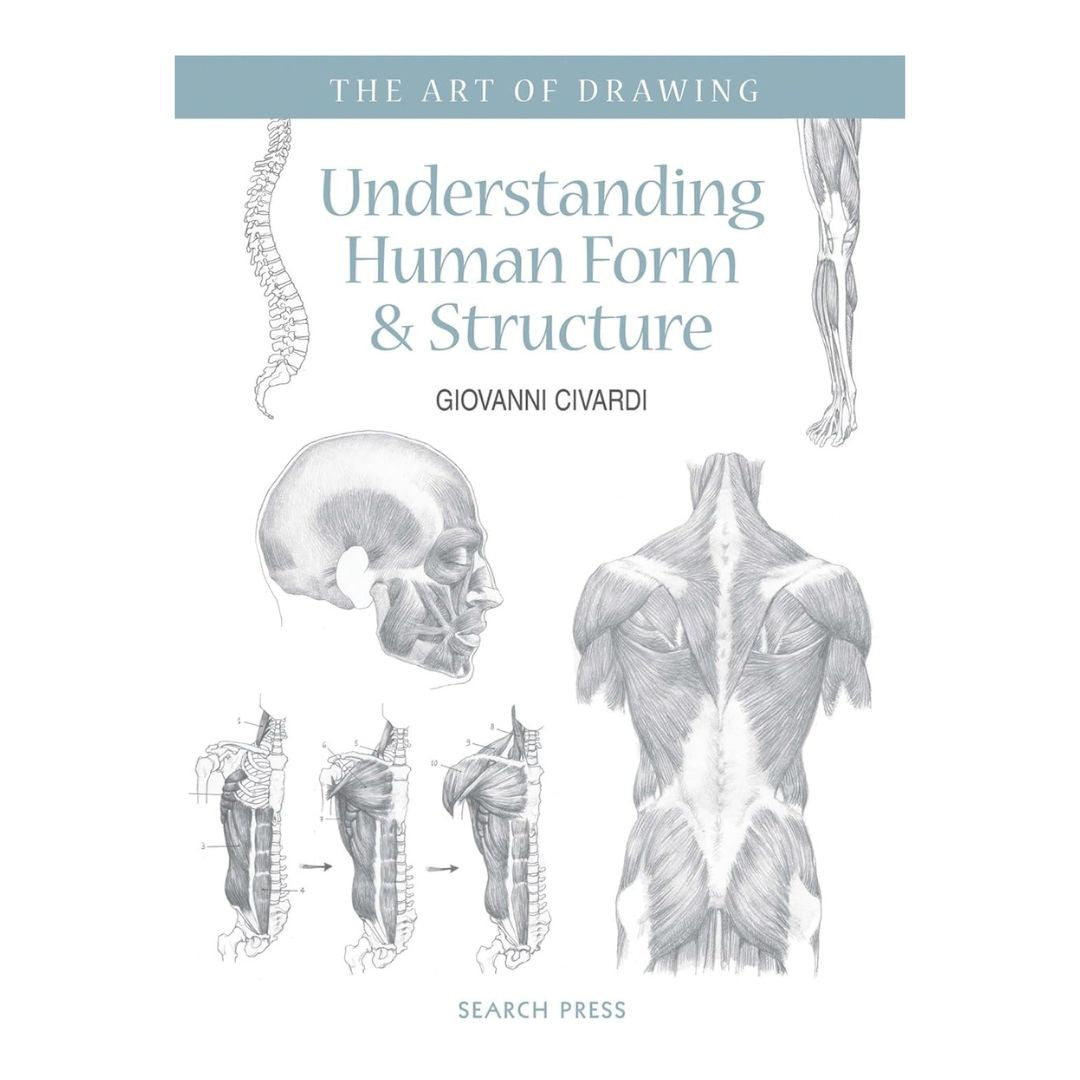 The Art of Drawing: Understanding Human Form & Structure by Giovanni C ...